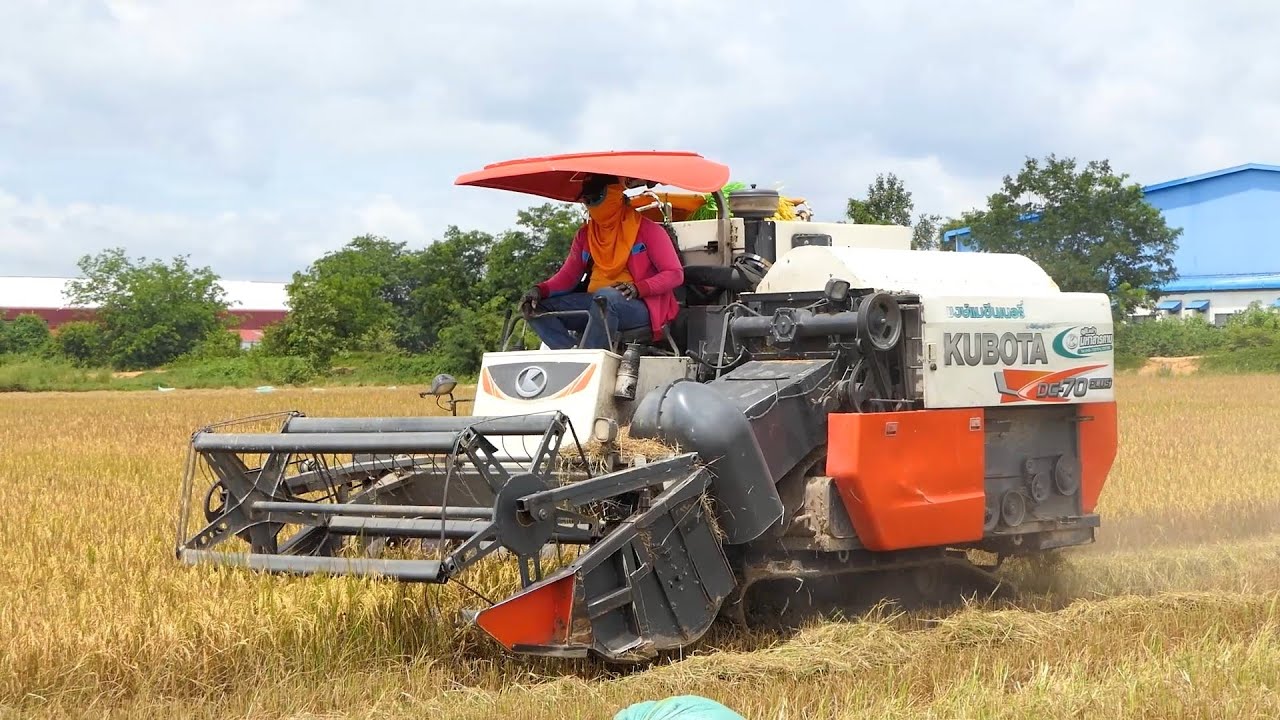 ម៉ាស៊ីនច្រូតស្រូវ Rice harvester Kubota DC-70 Plus - Agriculture ...