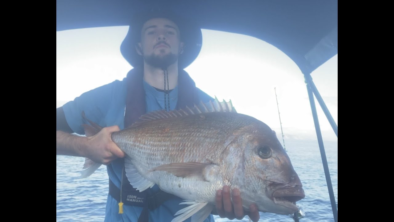 Landing my PB SNAPPER (15lb) at Kapiti Island - YouTube