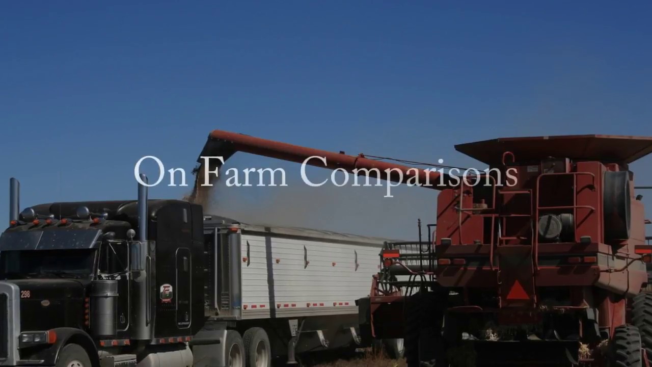 Understanding Ag Research - Replication and Randomization - YouTube