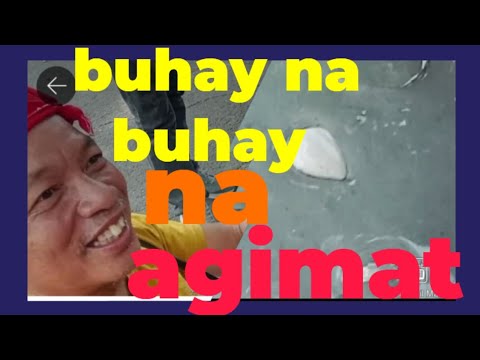 buhay na buhay na agimat CP #09567562987 pinoy agimat - YouTube