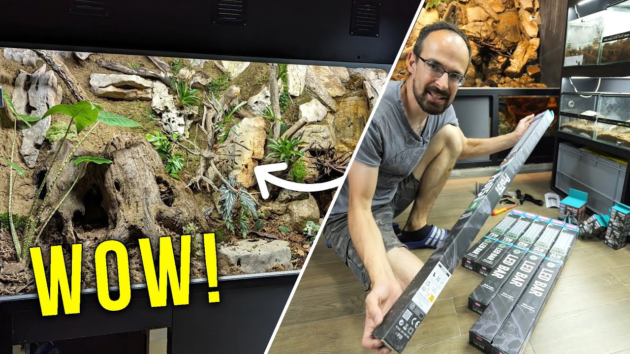 Jungle Dawn LED Bars Transform The Junglearium | With @TheDarkDen - YouTube