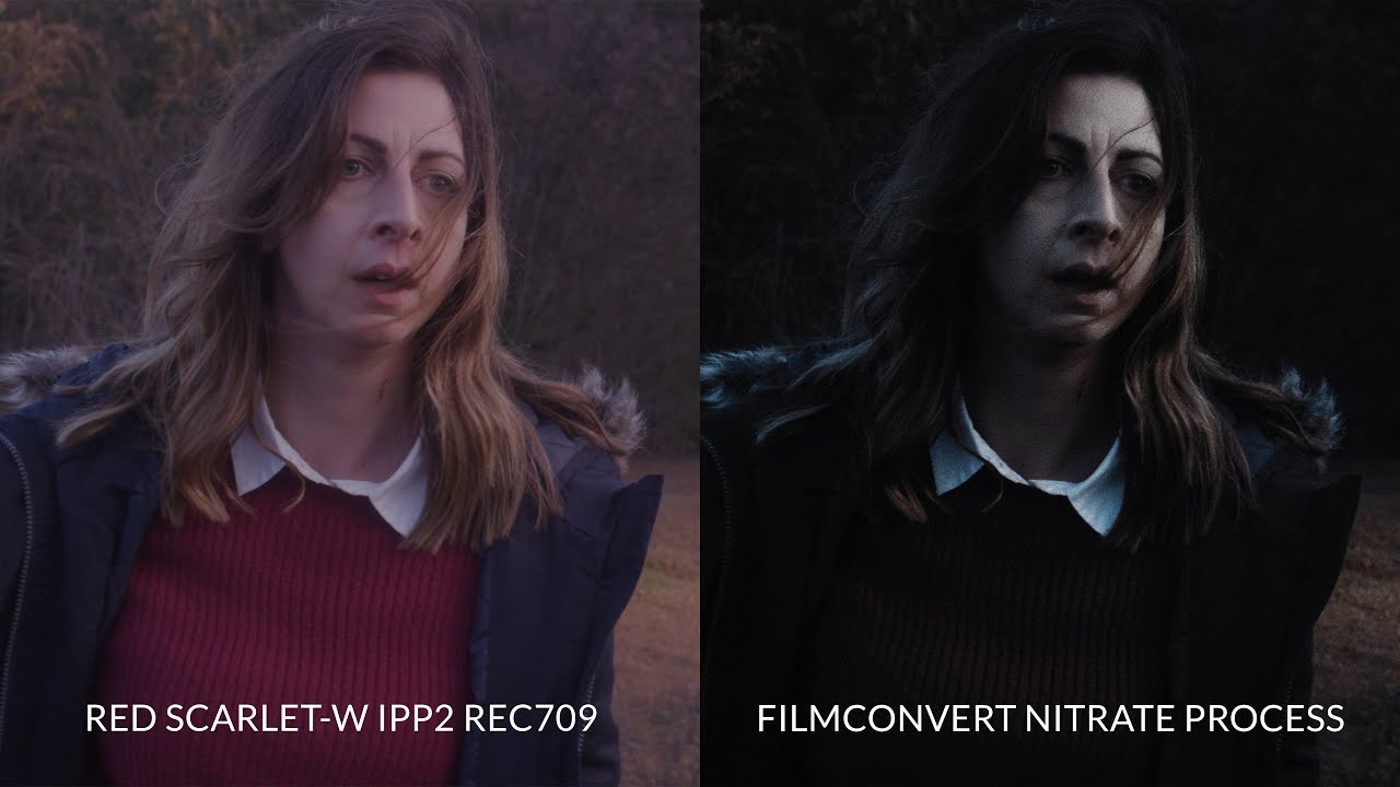FILMCONVERT NITRATE IS STILL AWESOME: The convenience of digital with ...