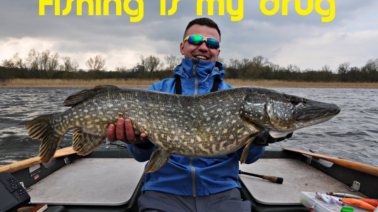 Llangorse lake pike fishing / Szczupaki na spinning - YouTube