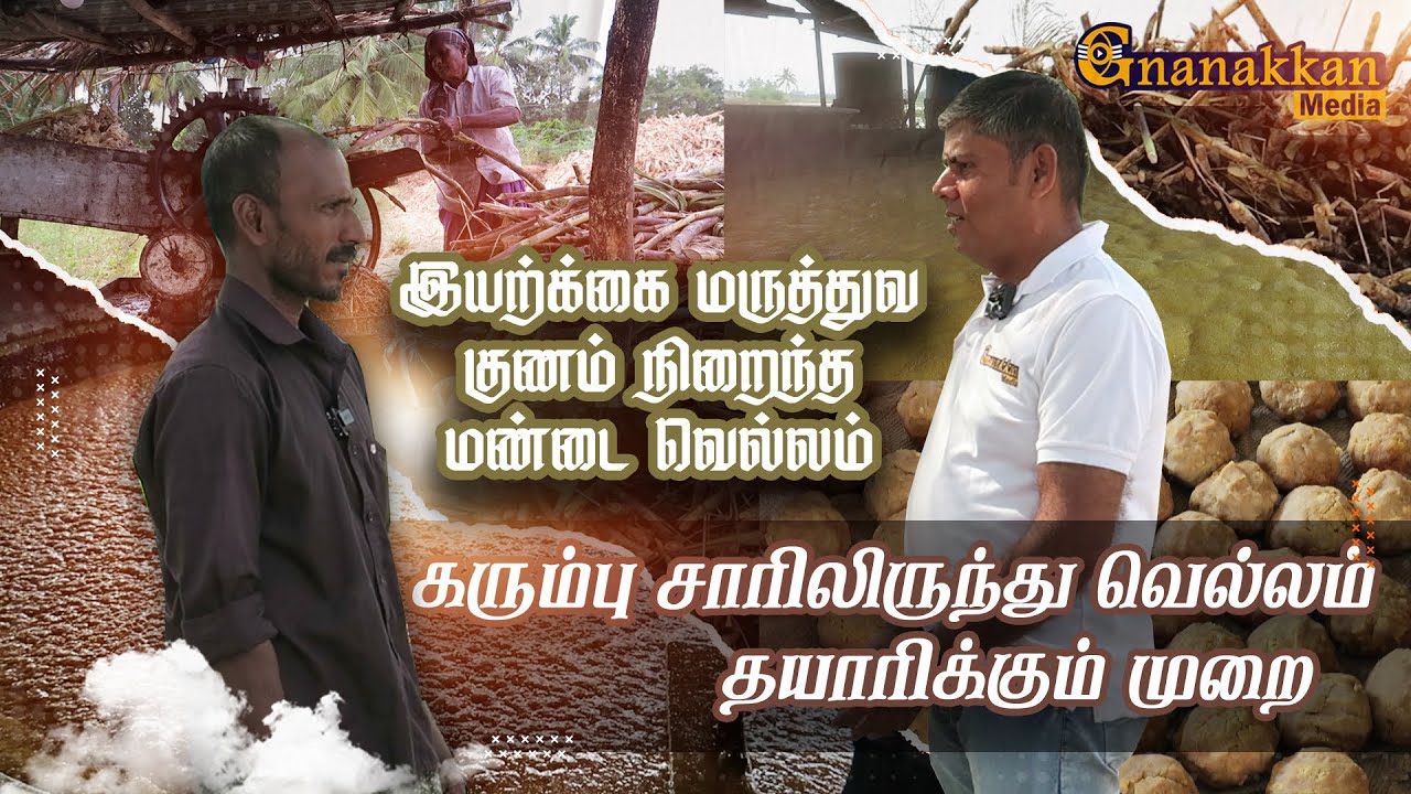 மண்டை வெல்லம் தயாரிப்பு |mandai vellam making| Jaggery making with ...