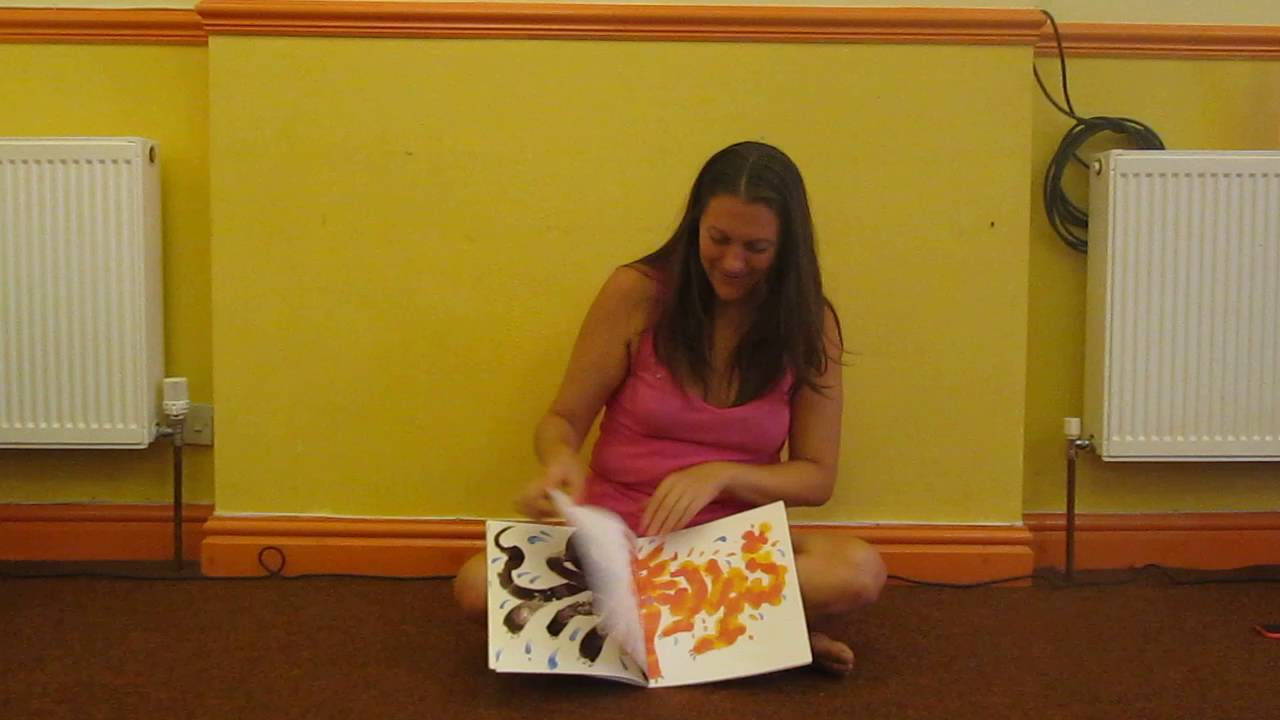 Sunshine and Storm in British Sign Language (BSL) and read ', author ...