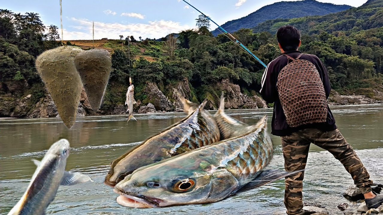 BEST BAIT FOR MASHEER FISH, IN WINTER | Ajas Official - YouTube