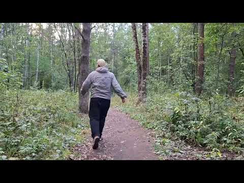 трейлер фильма \