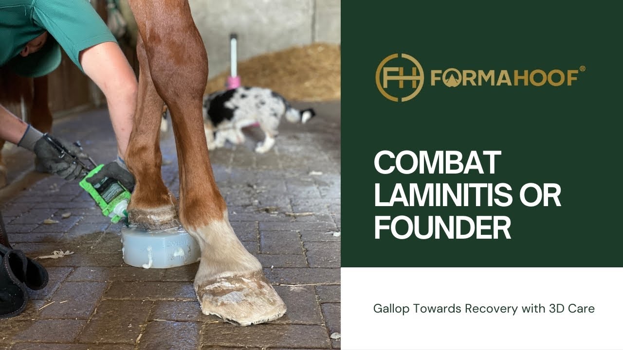 How to help horses during their laminitis or founder rehab with ...