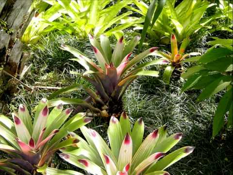 Adisa Rugovac y Ammar Awawdeh SPN 213- Costa Rica - YouTube