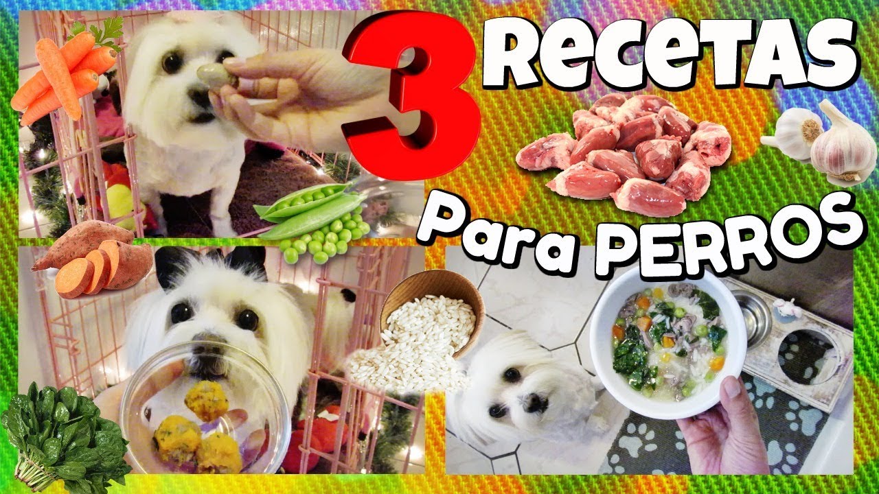3 Recetas para Perros con Corazon de pollo, comida para 3 dias, snacks ...