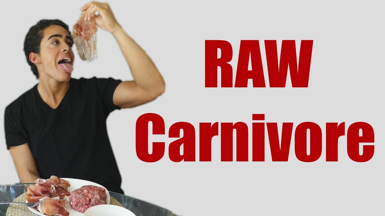 RAW CARNIVORE What I Eat in a Day - YouTube