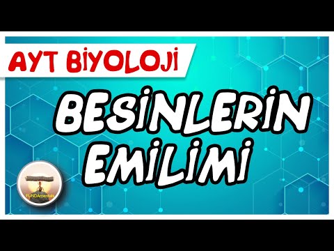 AYT Biyoloji | Besinlerin Emilimi #sayfa72