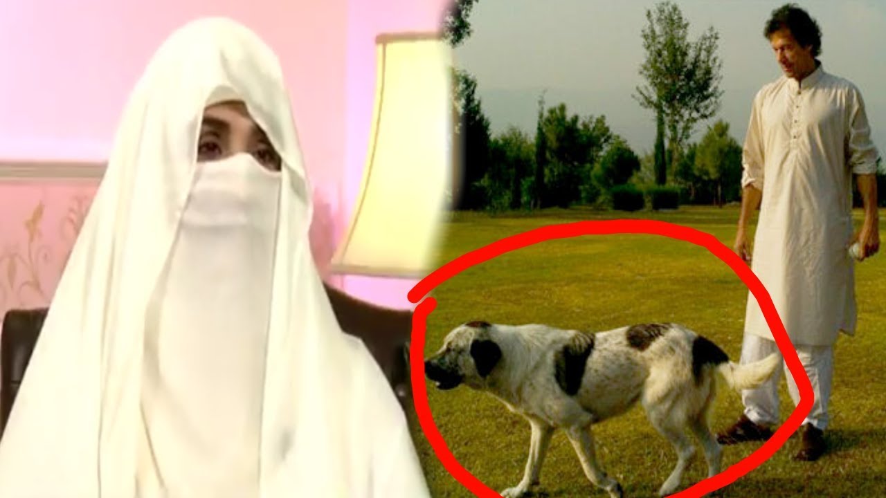 Bushra Bibi Talking About Imran Khan Dogs ||Bushra Bibi Latest ...