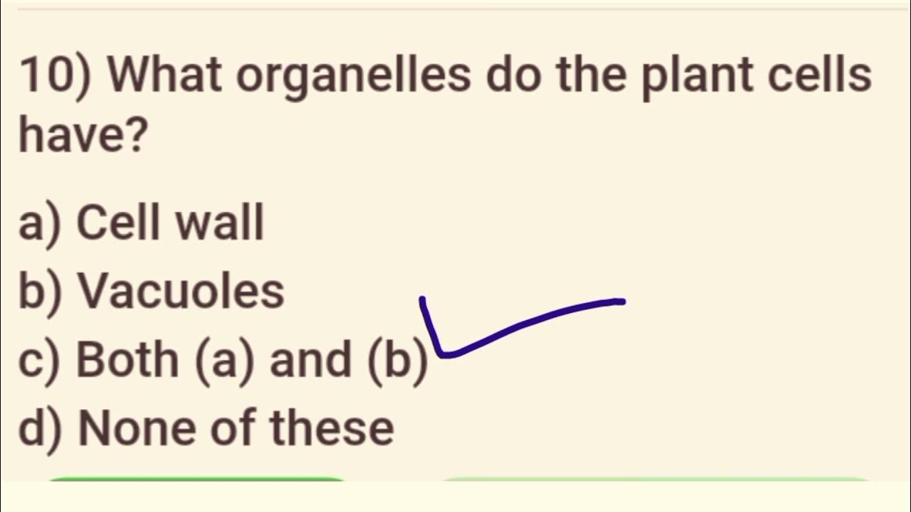 CSS 2019 GSA /( General Science and Ability) MCQs portion past paper ...