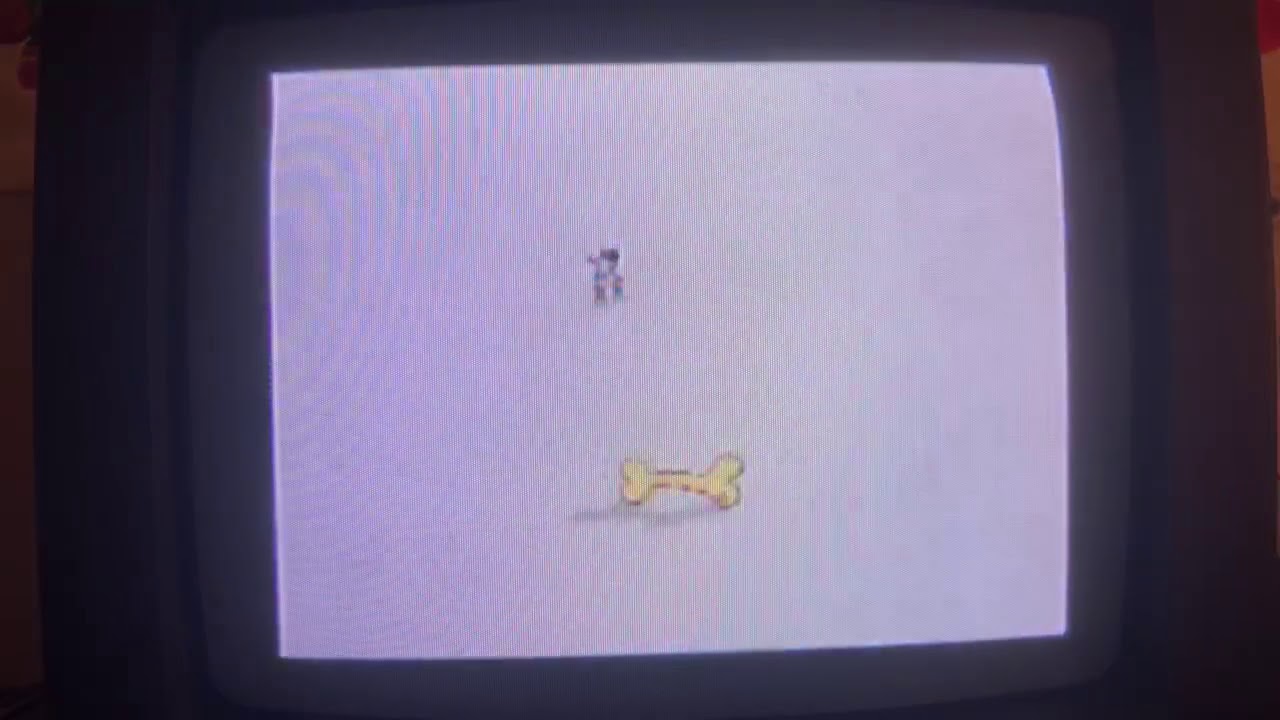 Opening to Stay Tooned! 2019 VHS - YouTube