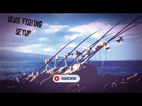 ulua fishing tips/live bait floating rigs/how to setup ulua fishing ...