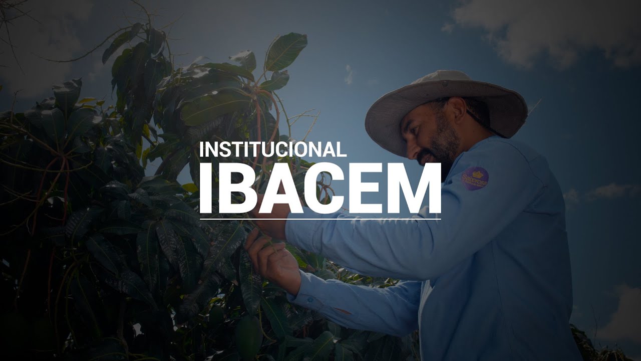 IBACEM - INSTITUTIONAL VIDEO - YouTube