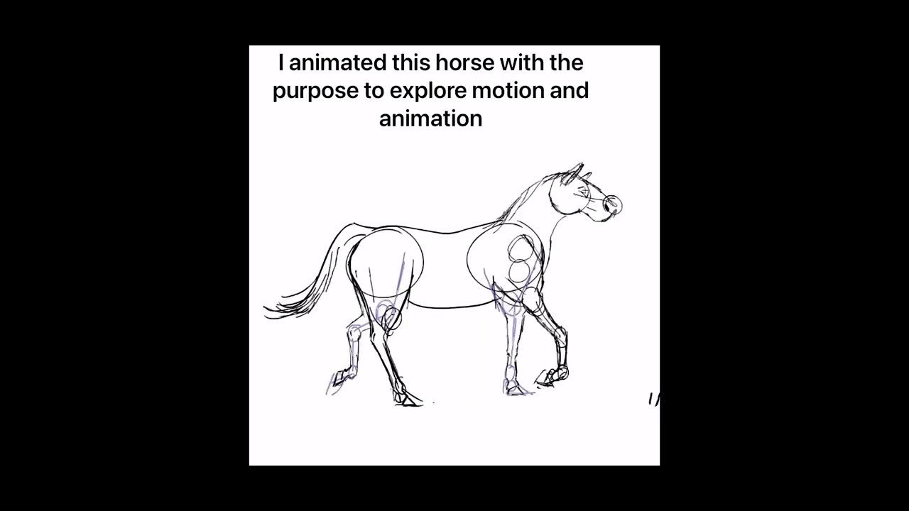 Horse trot animation - YouTube