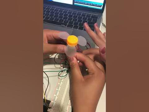 Assignment 6 exercise 2 - YouTube