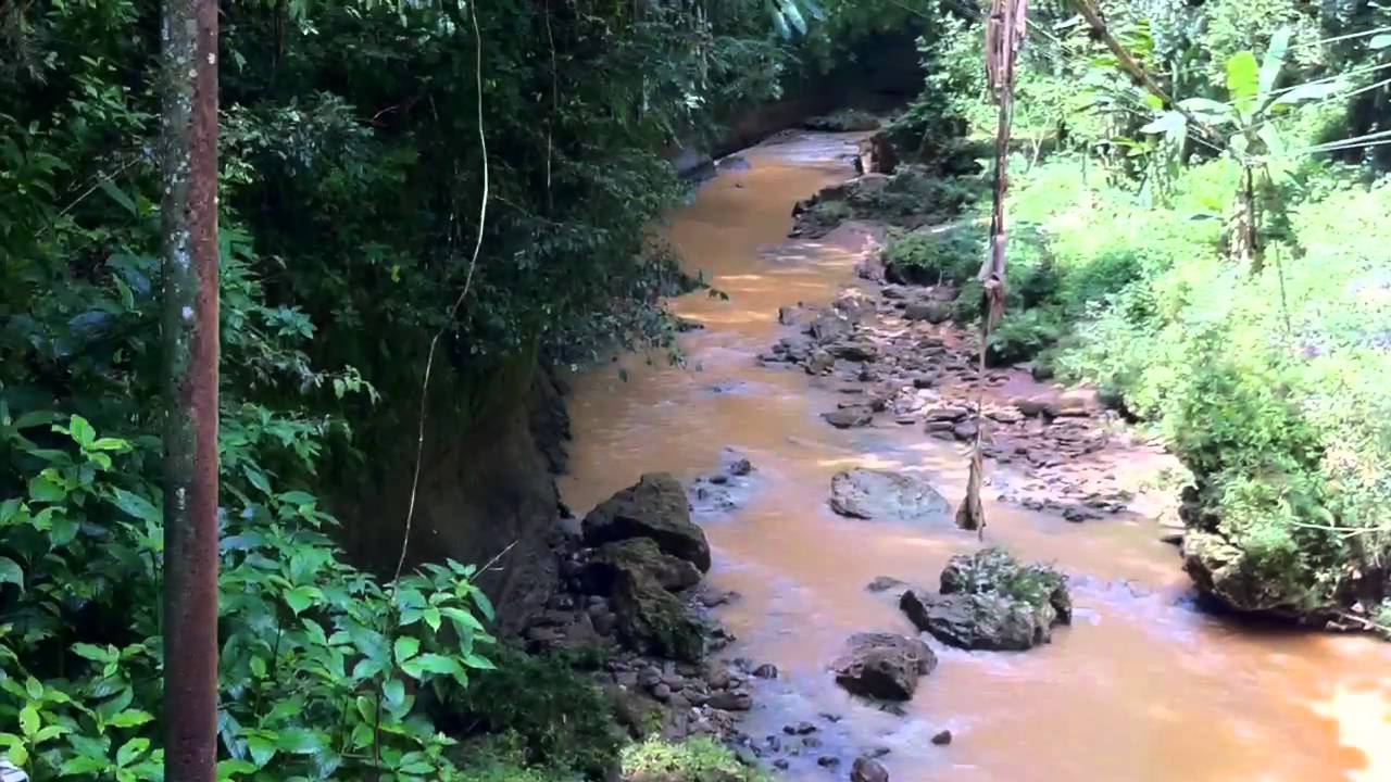 Hiking Tour @ Río Tanamá Utuado PR - YouTube