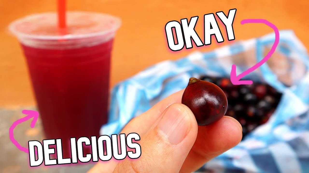 COROZO PALM - An Okay Fruit That Makes Delicious Juice - Weird Fruit ...