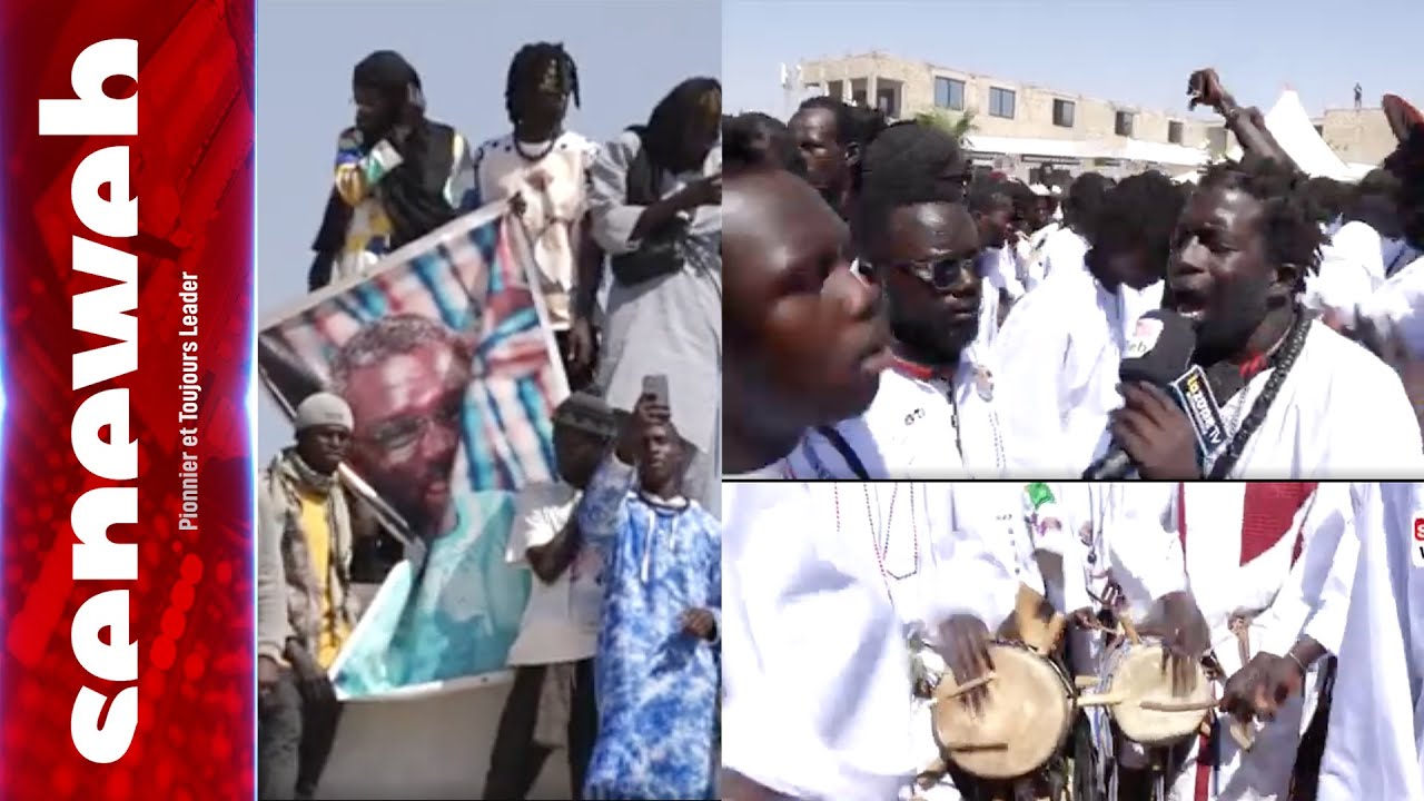 Yoor yoor chicory 2023 suivez incroyable ambiance des chicoriens - YouTube