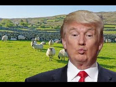 America First Ireland Second (The 51st State) - YouTube