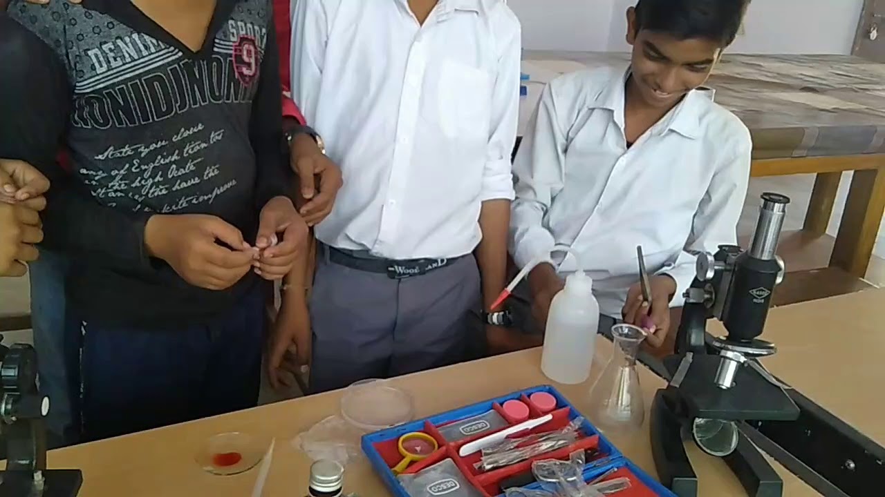 Onion Cell microscope school practical seen By Microscope in lab - YouTube