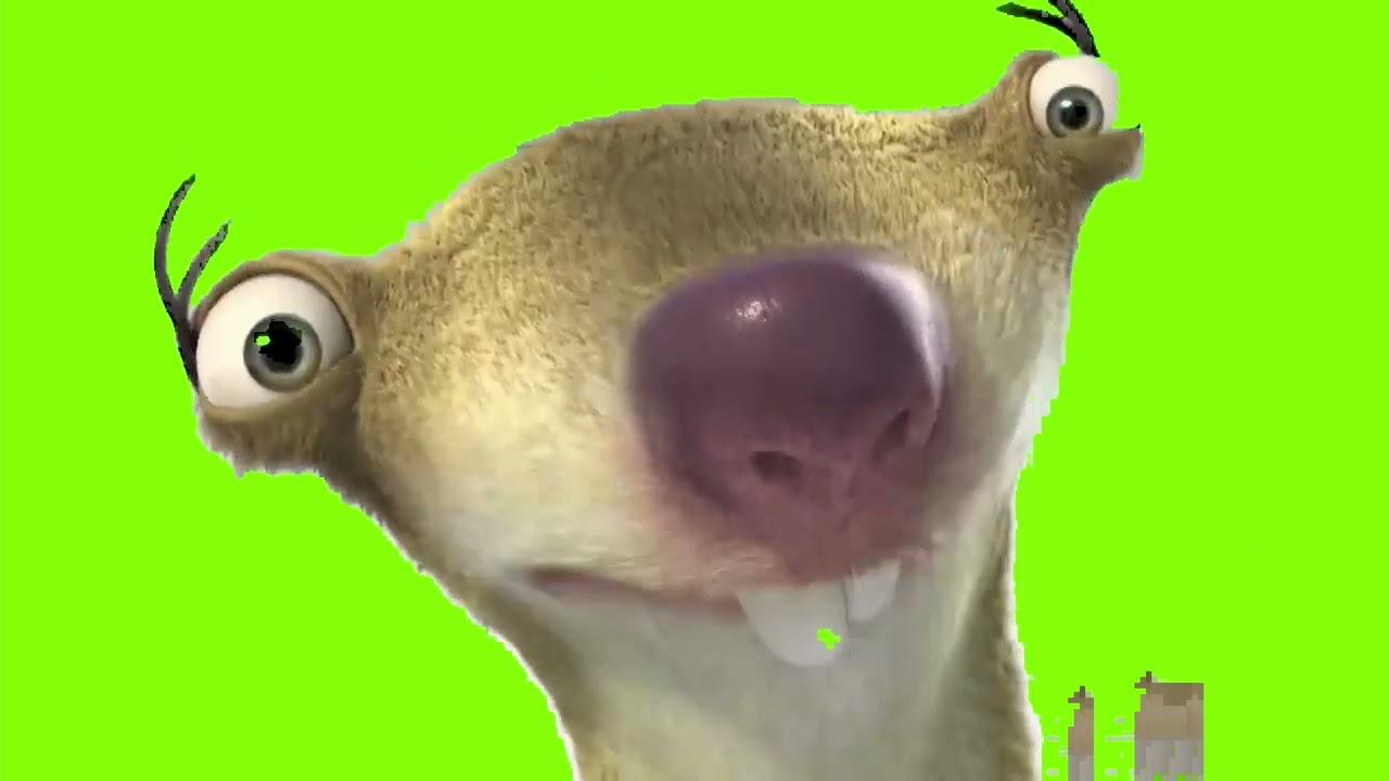sid the sloth whassup my mammals green screen - YouTube