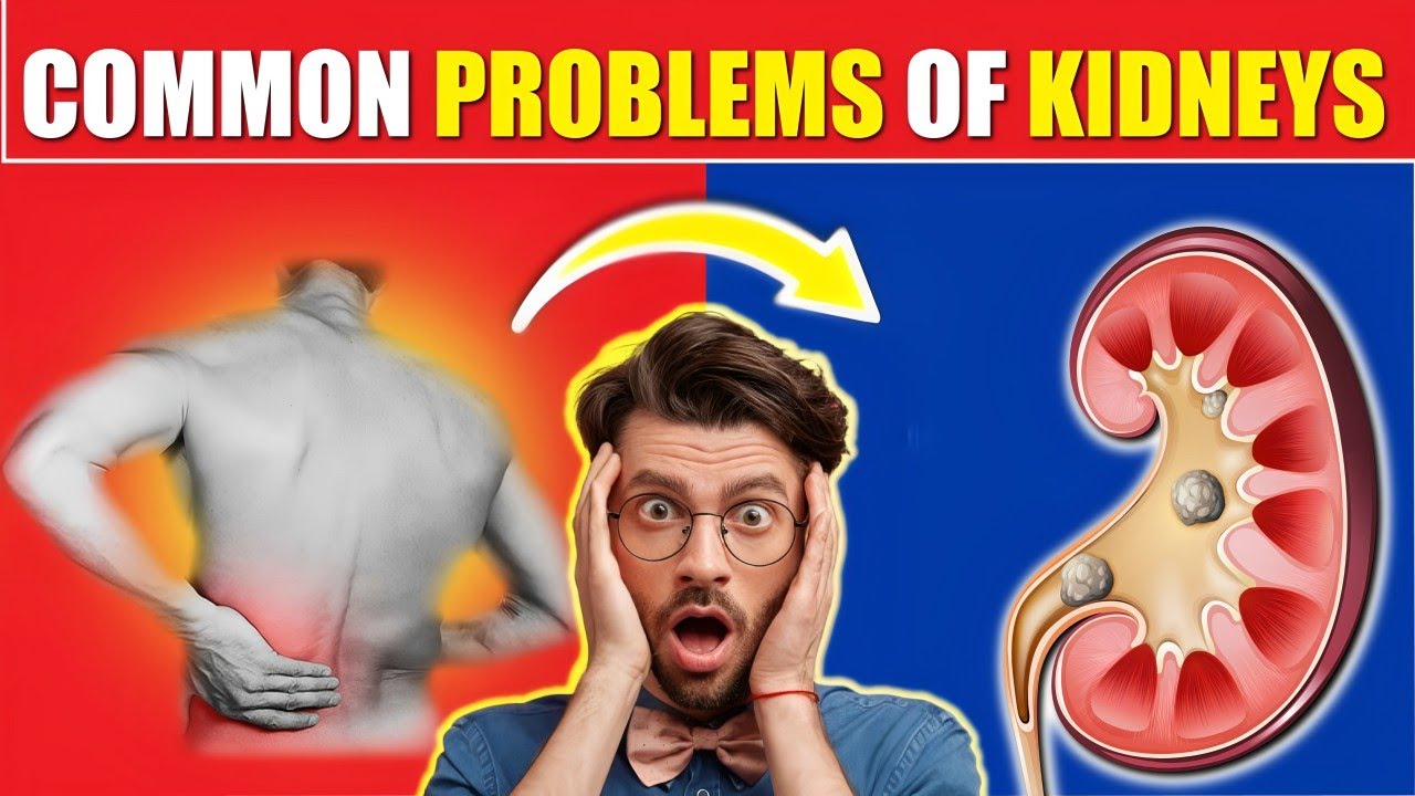 5 Common Kidney Diseases - What You Need to Know! - YouTube