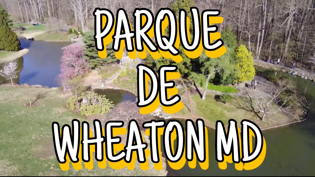 BONITO PARQUE PARA VISITAR DE WHEATON EN MARYLAND 🌳🌳 - YouTube