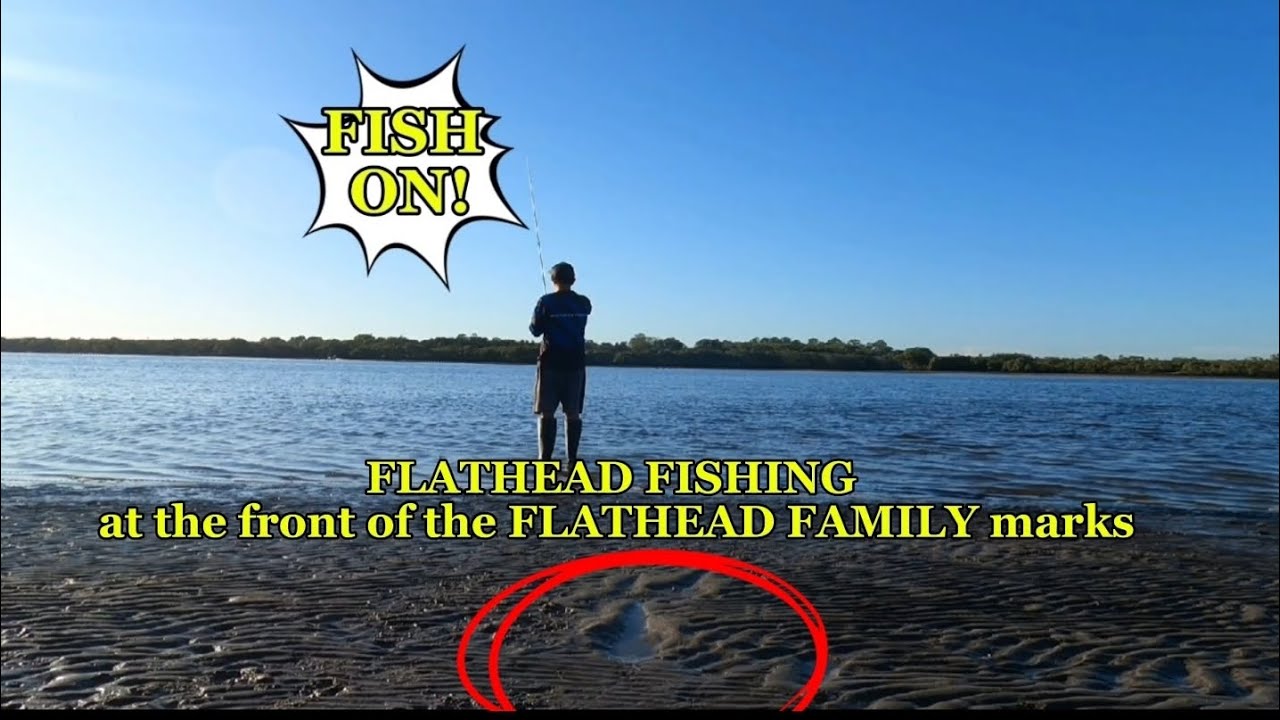 FLATHEAD FISHING at the front of the FLATHEAD FAMILY marks - YouTube
