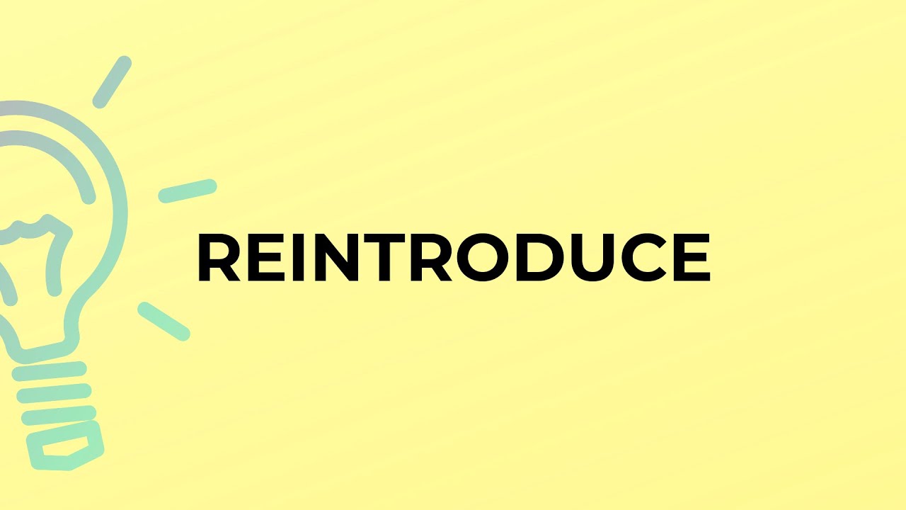 What is the meaning of the word REINTRODUCE? - YouTube