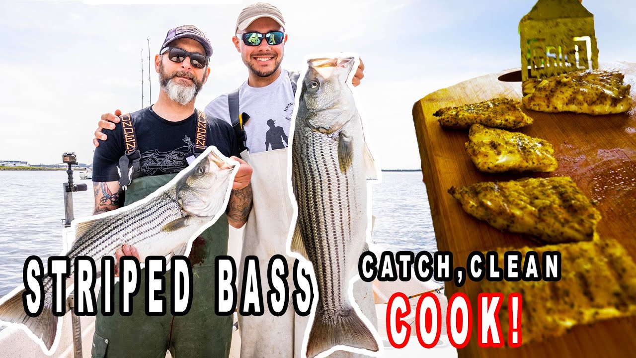 FISHING FOR STRIPED BASS | Catch Clean Cook - YouTube