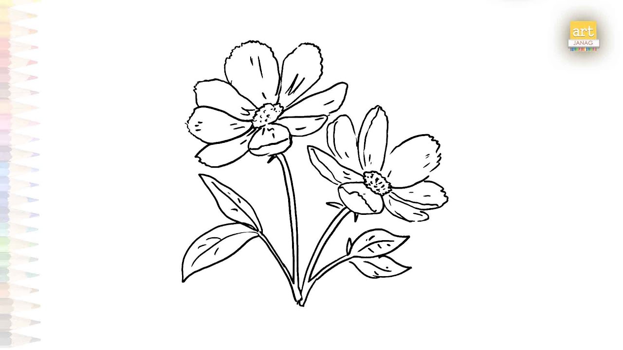 Cosmos flower drawing easy | Art tutorial | How to draw Cosmos flowers ...