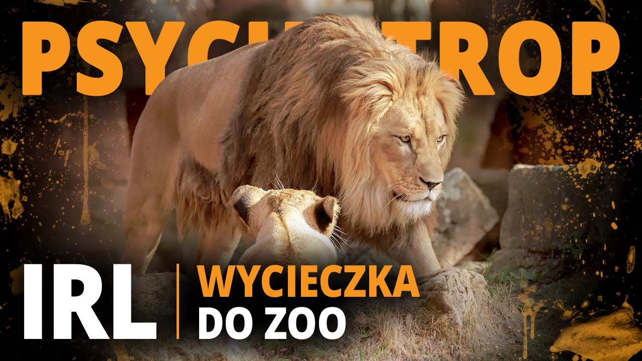 NIEDZIELNA WYCIECZKA DO ZOO - IRL - YouTube