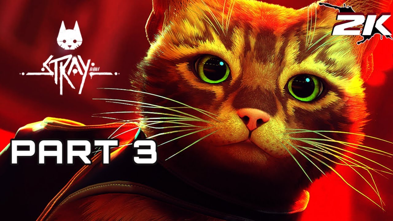 Stray Full Walkthrough | Gameplay Saving Doc Part 3 ﴾2K﴿ - YouTube