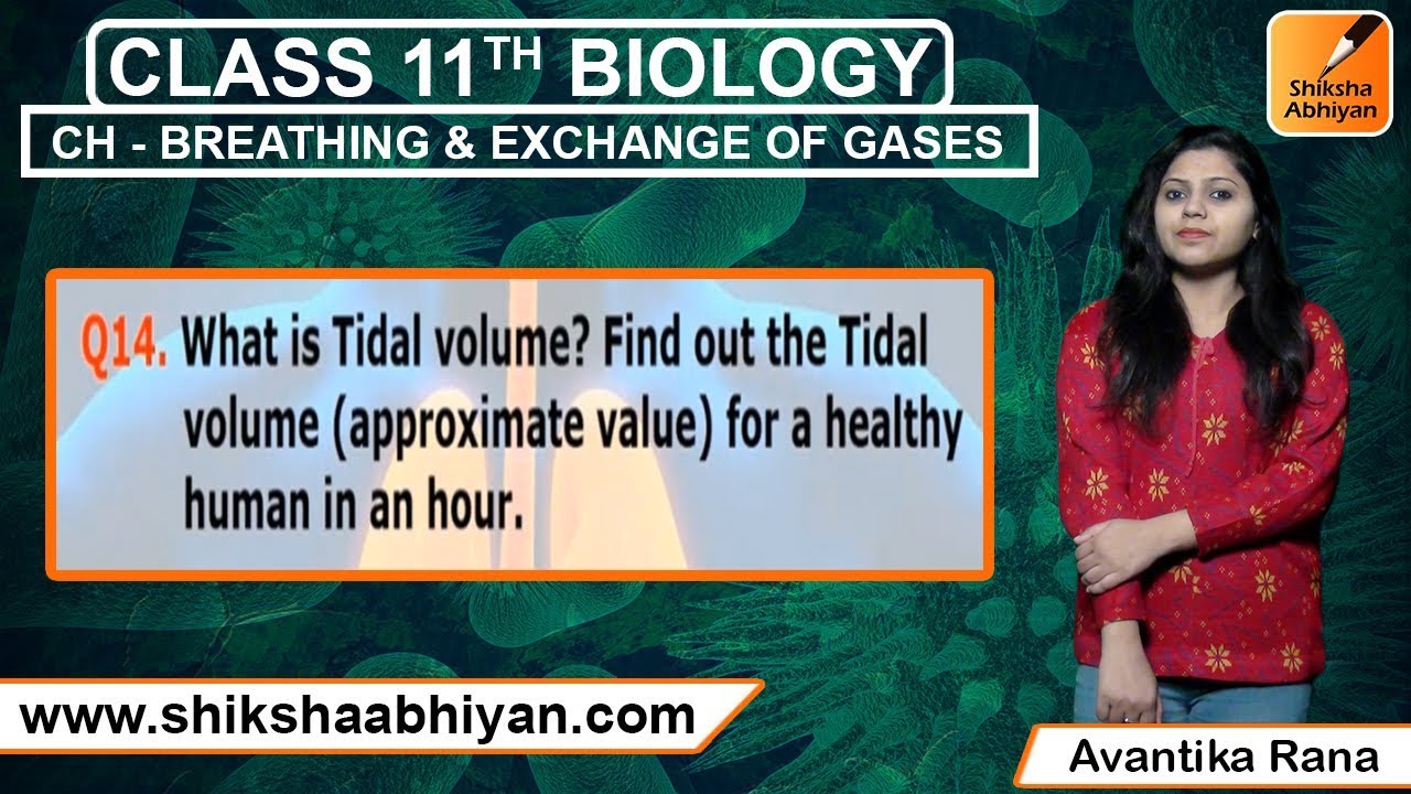 Q14 What is Tidal volume? Find the Tidal volume for a healthy human in ...