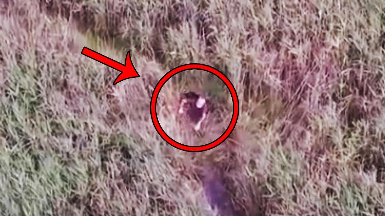 10 Scariest Videos Caught By Drones Youtube