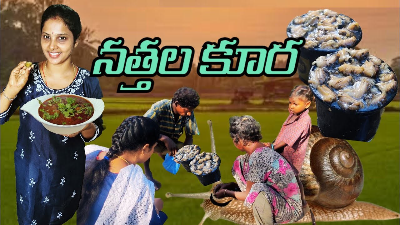 నత్తల కూర లాభాలు | Healthy Snail Curry Recipe | Cleaning and Cooking ...