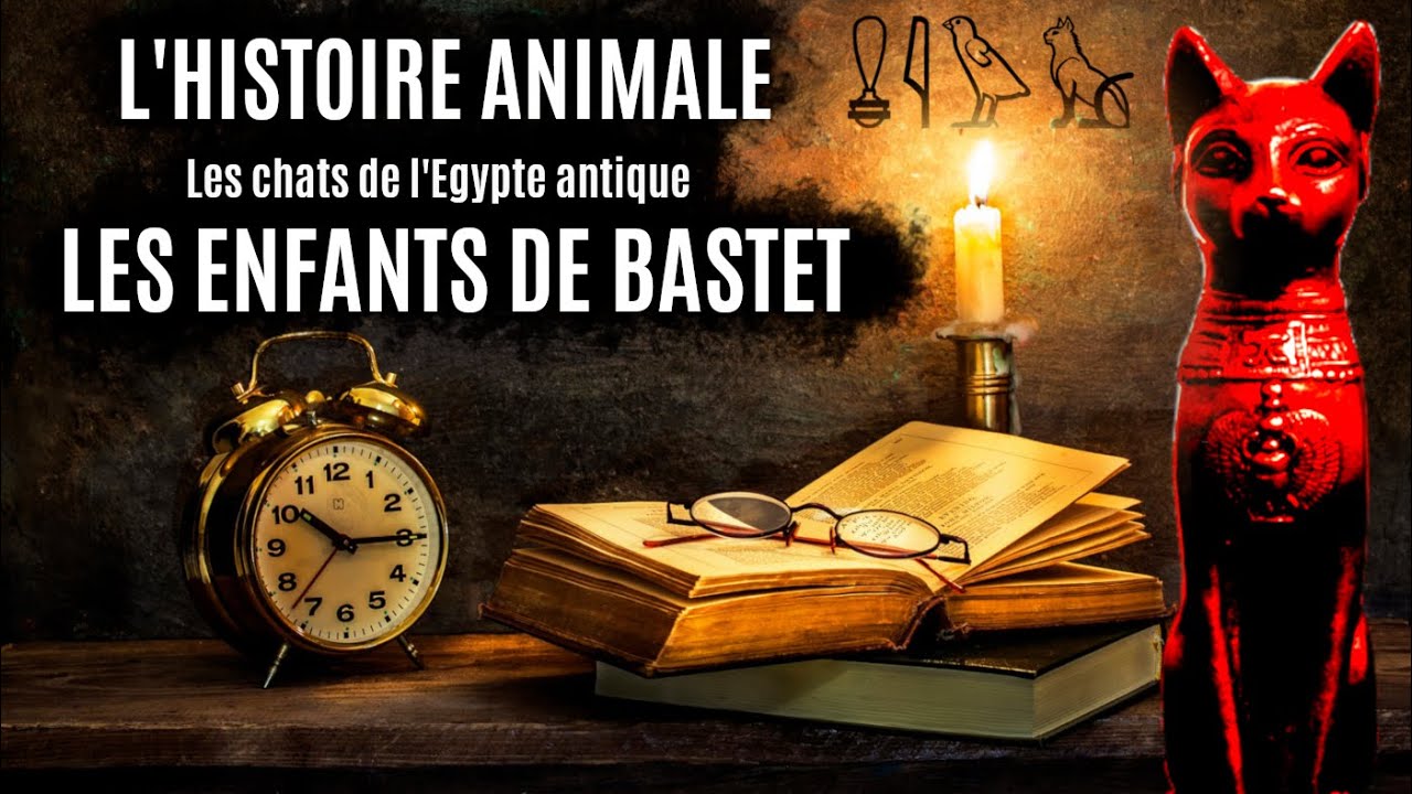 L'Histoire Animale : Les enfants de Bastet : Les chats de l'Egypte ...