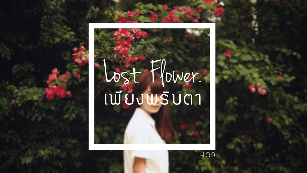 Lost Flower - เพียงพริบตา [ Official Audio ] - YouTube