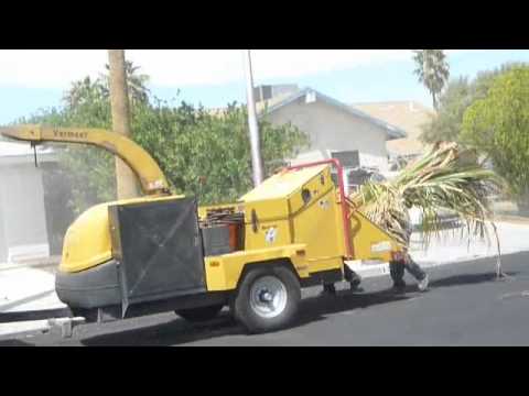 Trimming a Large Palm Tree With Our Boom Truck - Affordable Tree ...