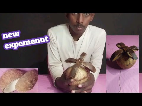 coconut experiment कोकोनट एक्सपेरिमेंट नारियल - YouTube