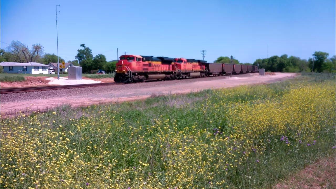 BNSF WB Empty Coal Train W/2 DPU Pushers in Kempner, TX 04/05/2024 Horn Salute! - YouTube