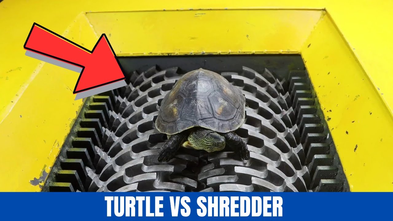 Turtles vs Shredder | Shredding things | crushing metal | Satisfying ...
