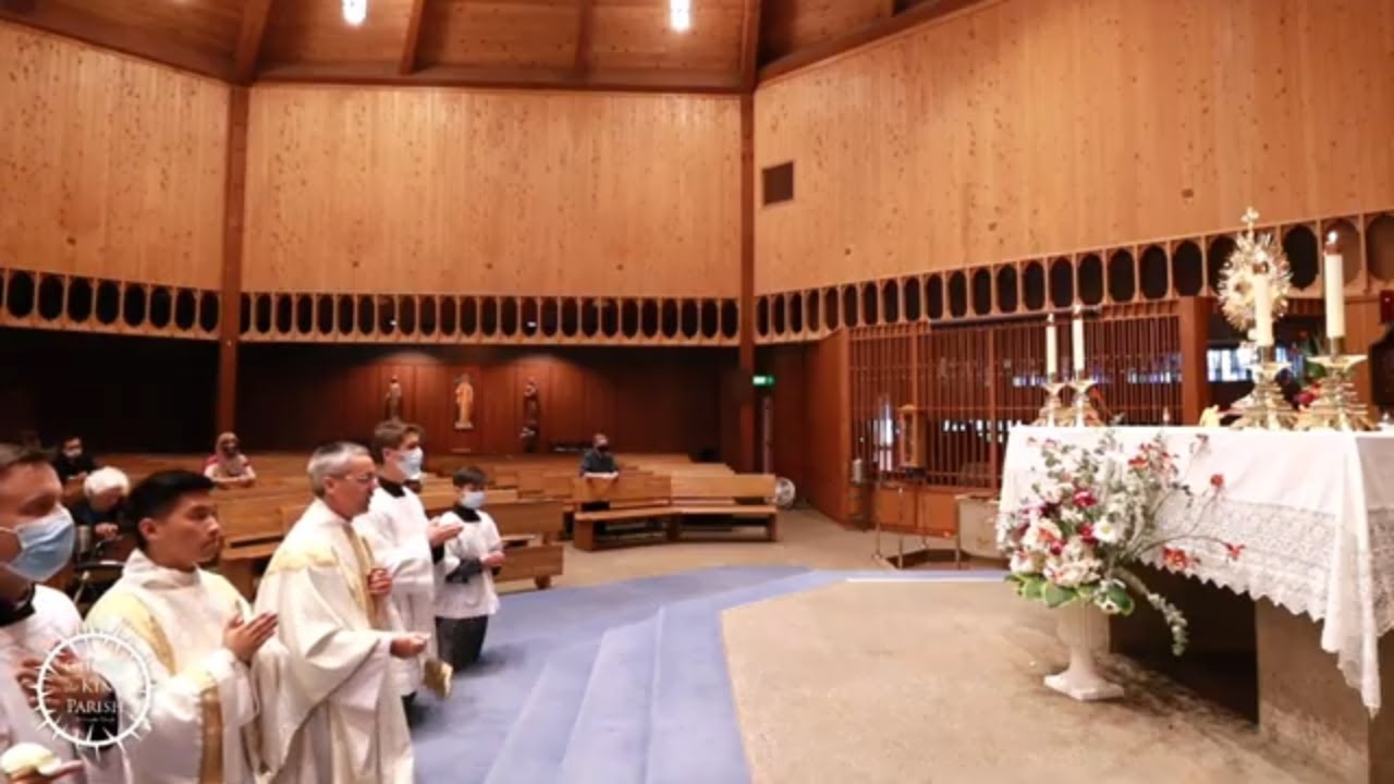 Daily Mass Live Stream - 7/16/2020 - Christ The King Catholic Church ...