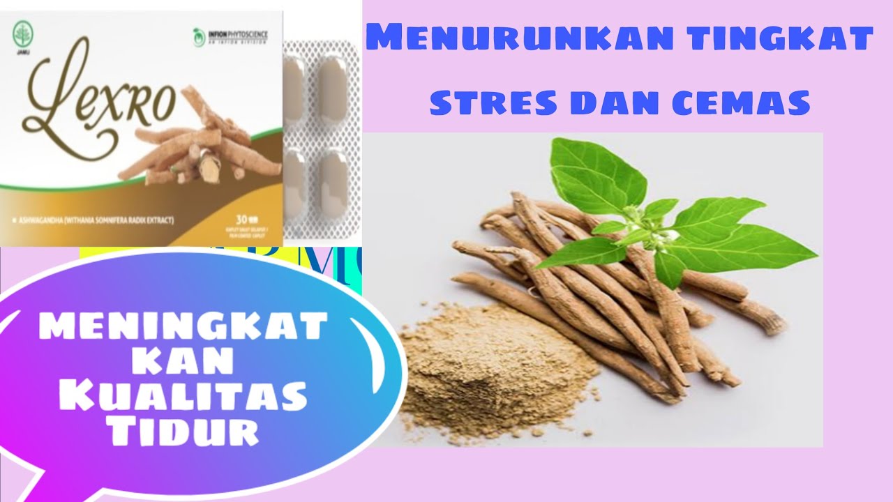 Pentingnya mengetahui Fungsi ashwagandha pada obat Lexro tablet - YouTube
