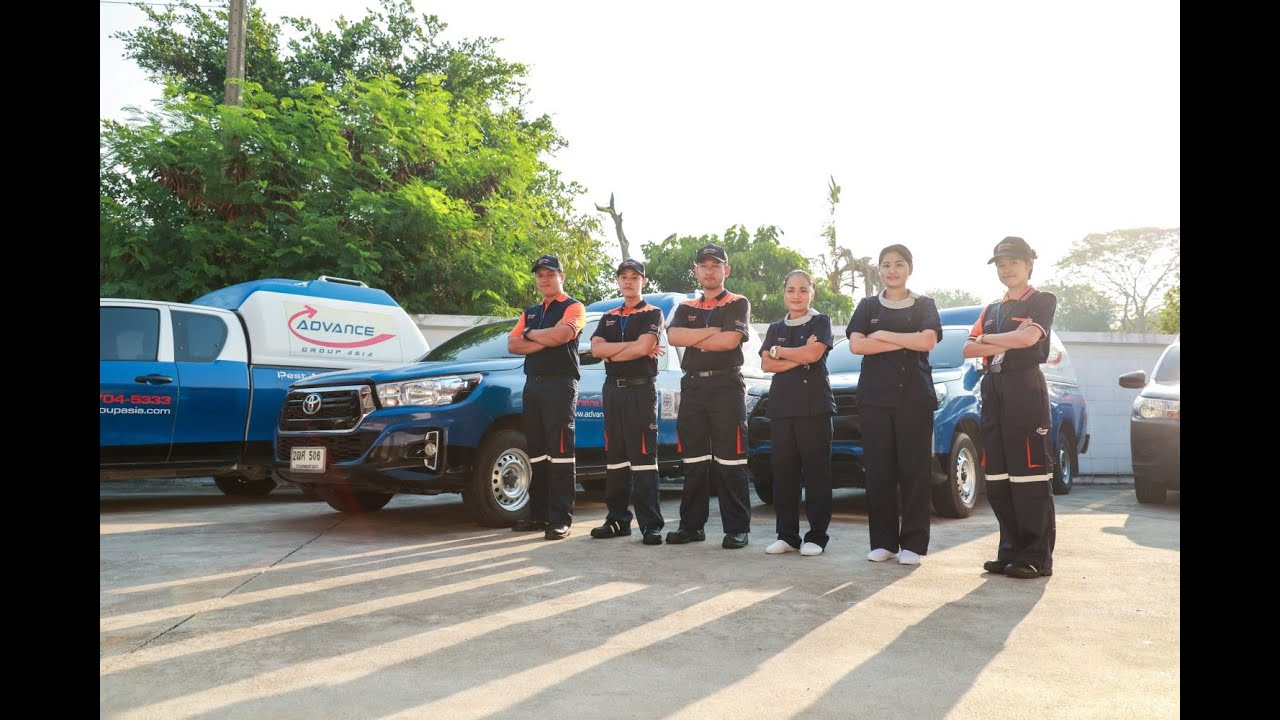 กำจัดปลวก กำจัดแมลง ทั่วไทย l Advance Group Asia - YouTube