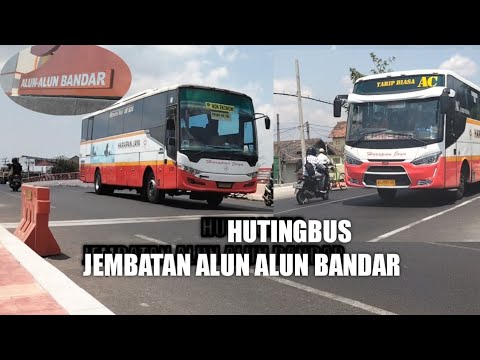 💫HUNTING Di Jembatan Bandar Alun Alun Bus harapan jaya @kangno99 - YouTube
